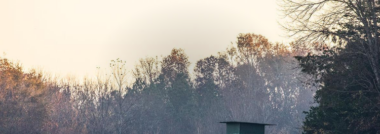 Shop – Buck Busters Seed Company