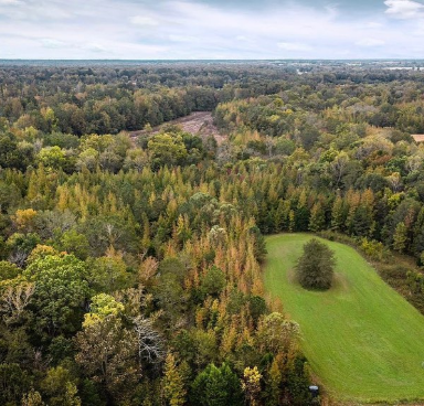 Buck Busters Seed Company